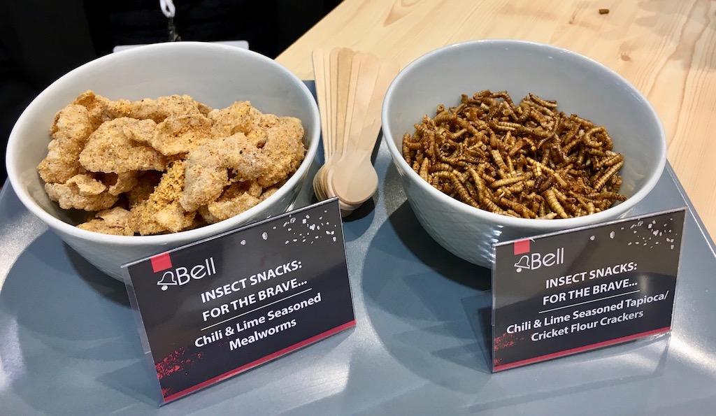 Bell Insect Snacks Chili + Lime Seasoned Mealworms or Tapioca-Cricket ...